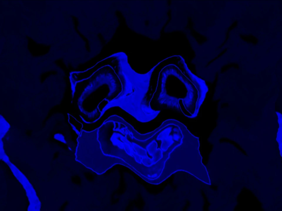 Ambient 4ormulator V1 | Logo Editing Wiki | Fandom