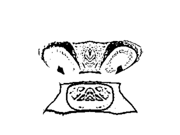 G-Major 152 | Logo Editing Wiki | Fandom