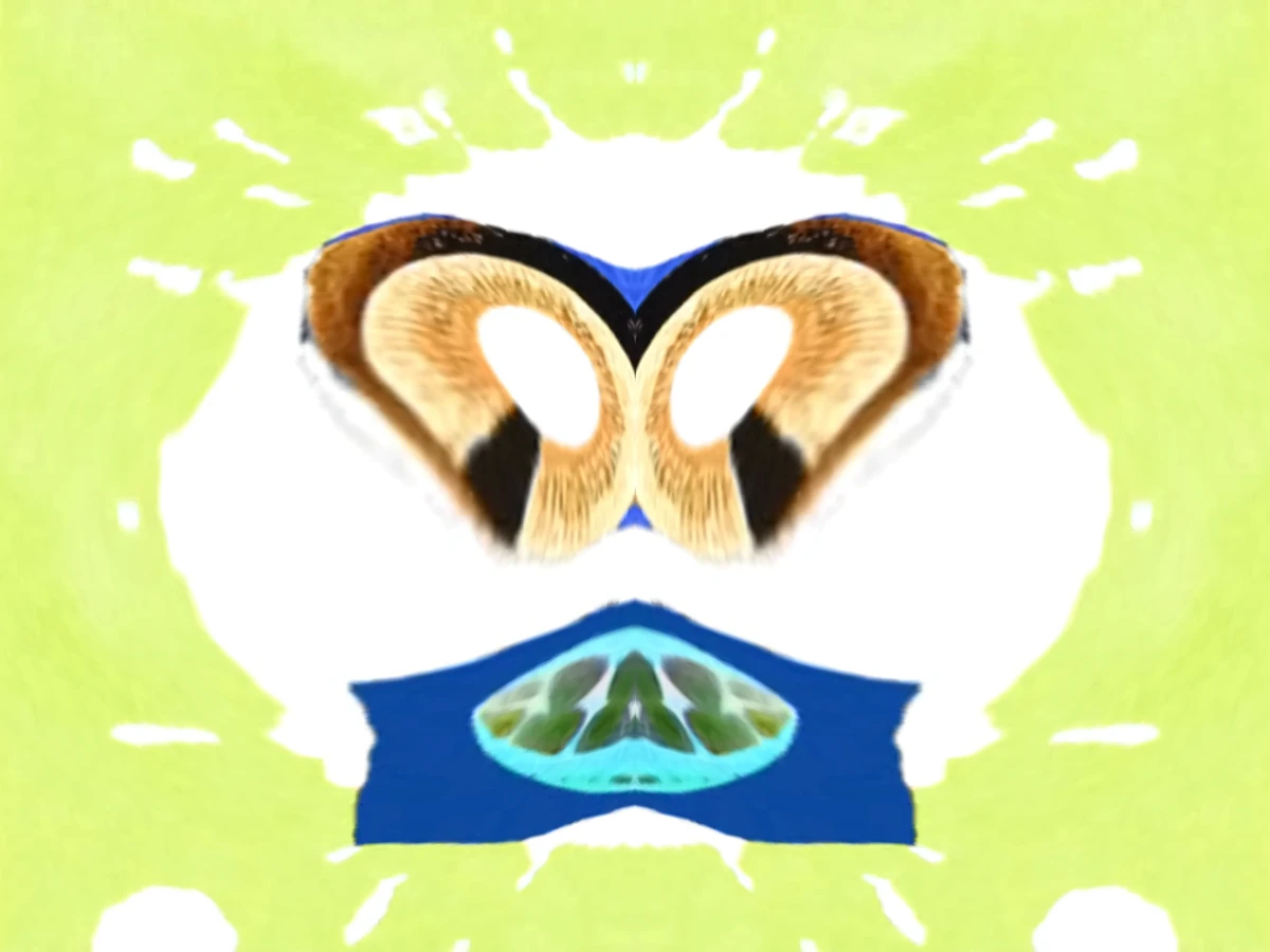 Deaf Major | Logo Editing Wiki | Fandom