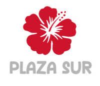 Plaza Sur | LogoFan de Logopedia | Fandom
