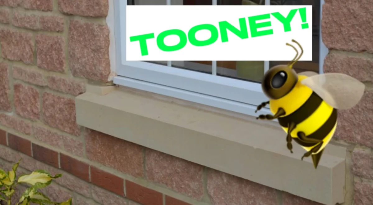 Tooney (UK And Ireland)/Bumpers | Logo Fanon 2 Wiki | Fandom