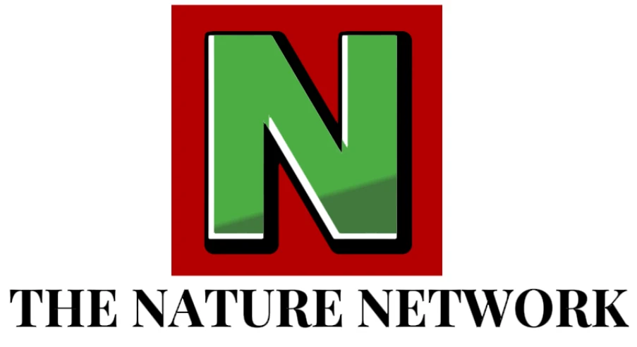 Nature Network | Logo Fanon 2 Wiki | Fandom