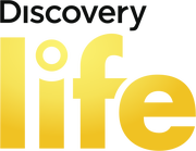 Discovery Life (Kateia) | Logo Fanon 2 Wiki | Fandom