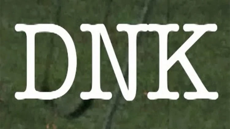 DNK (RTV Pink) | Logopedia | Fandom