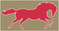 Birmingham Stallions | Logopedia | Fandom