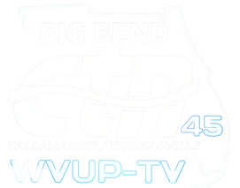 WVUP-CD | Logopedia | Fandom