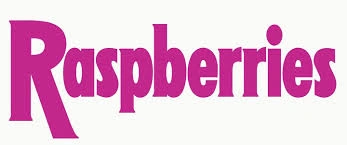 Raspberries (band) | Logopedia | Fandom