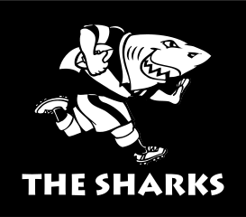 Natal Sharks | Logopedia | Fandom