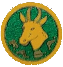 South African Football Association | Logopedia | Fandom