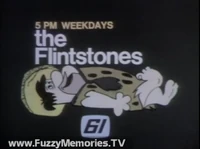 WQHS-DT | Logopedia | Fandom