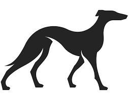 Sacoor Brothers | Logopedia | Fandom