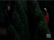 WDRB | Logopedia | Fandom