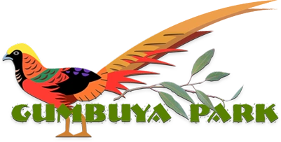 Gumbuya World | Logopedia | Fandom