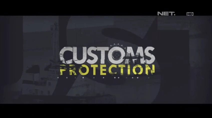 Customs Protection | Logopedia | Fandom