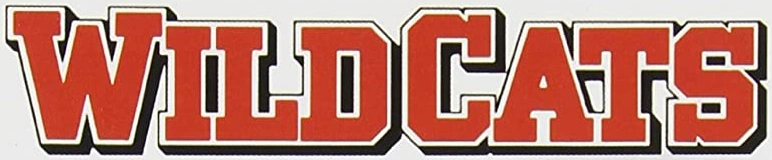 Wildcats | Logopedia | Fandom