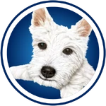 Scotties (Canada) | Logopedia | Fandom
