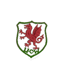 Llanelli RFC | Logopedia | Fandom