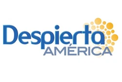 Despierta Logo Mochamad Jainul Arifin | Designhill