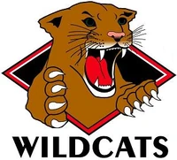 Wichita Falls Wildcats | Logopedia | Fandom