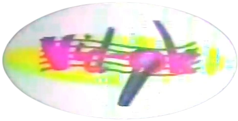 Myx | Logopedia | Fandom