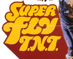 Super Fly T.N.T. | Logopedia | Fandom