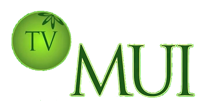 TV MUI | Logopedia | Fandom