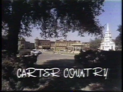 Carter Country | Logopedia | Fandom