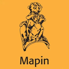 Mapin Publishing | Logopedia | Fandom