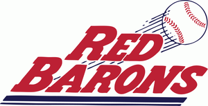 Scranton/Wilkes-Barre Railriders | Logopedia | Fandom