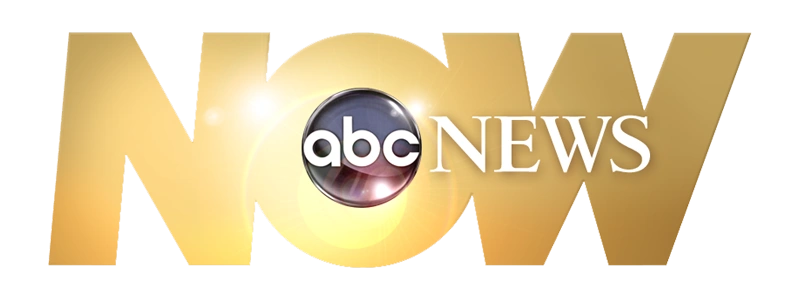 American News Channel Logo