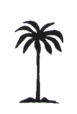 Fiji national rugby union team | Logopedia | Fandom