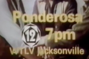 WTLV | Logopedia | Fandom