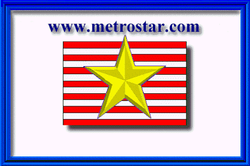 Metrostar | Logopedia | Fandom