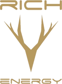Rich Energy | Logopedia | Fandom