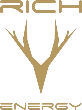 Rich Energy | Logopedia | Fandom