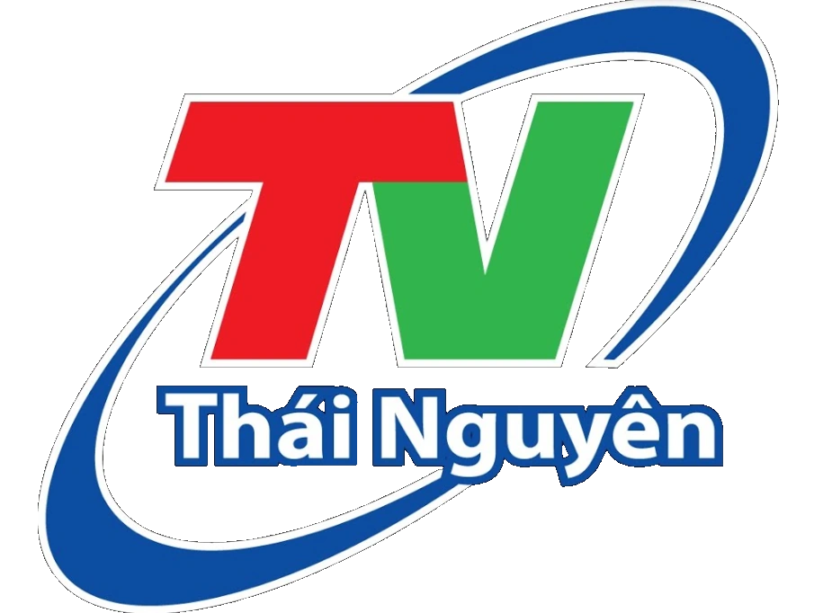 TN (Thai Nguyen) | Logopedia | Fandom