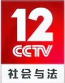 CCTV-12 | Logopedia | Fandom