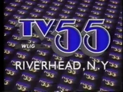 WLNY-TV/Other | Logopedia | Fandom