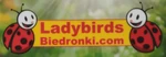Biedronki | Logopedia | Fandom