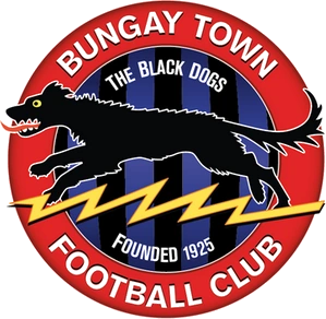 Bungay Town | Logopedia | Fandom