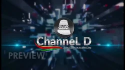 Channel D | Logopedia | Fandom