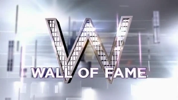 Wall of Fame | Logopedia | Fandom