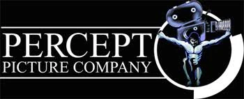 Percept Picture Company Logo Percept Insight | PerceptInsight