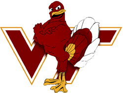 Virginia Tech | Logopedia | Fandom
