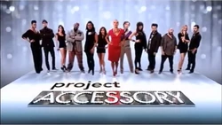 Project Accessory | Logopedia | Fandom