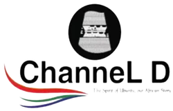 Channel D | Logopedia | Fandom