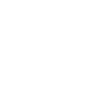 Broadcasting System of Niigata/Anniversary | Logopedia | Fandom