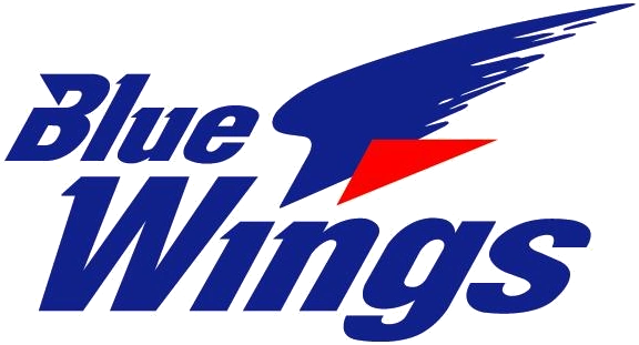 Suwon Samsung Bluewings | Logopedia | Fandom