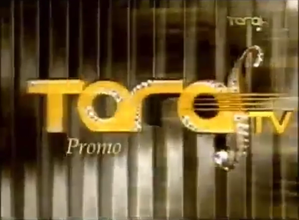 Taraf TV | Logopedia | Fandom