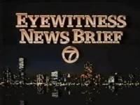 WLS-TV/News | Logopedia | Fandom